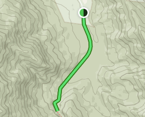 Clamshell Falls via Behana Gorge Trail [CLOSED], Queensland, Australia ...