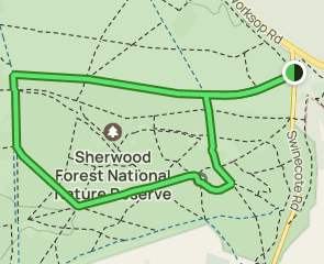 Sherwood Forest and Major Oak Alternative, Nottinghamshire, England ...