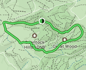 Quantock Forest Circular , Somerset, England - 41 Reviews, Map | AllTrails