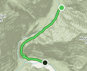 Siberia Hut to Kerin Forks Hut via Gillespie Pass Circuit, Otago, New ...