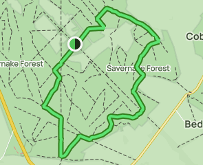 Heart of Savernake Forest Circular, Wiltshire, England - 105 Reviews ...