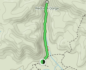 Redbank Gorge Walk: 41 Reviews, Map - Northern Territory, Australia ...