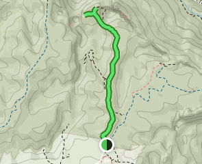 Bald Head via Hat Hill, New South Wales, Australia - 92 Reviews, Map ...