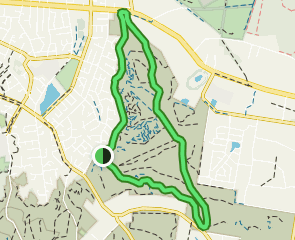 Bendigo Bushland Trail and Wildflower Drive Loop: 20 foto - Vittoria ...