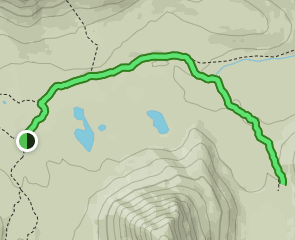 Red Deer Lakes Campground - Natural Bridge: 19 Zdjęcia – Alberta ...