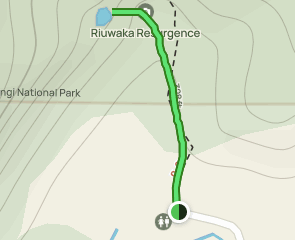 Te Puna Wai o Riuwaka Resurgence Walk, Nelson-Tasman, New Zealand - 22 ...