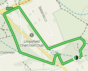 Limpsfield Common and Peter Rabbit Circular, Surrey, England - 31 ...