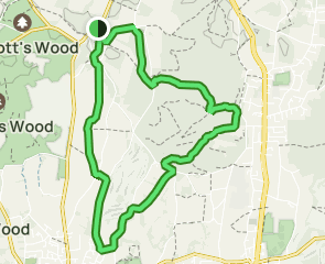 Burnham Beeches Circular, Berkshire, England - 139 Reviews, Map | AllTrails