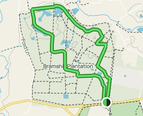 Bramshill Plantation Circular, Hampshire, England - 80 Reviews, Map ...