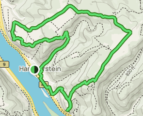 Castle Hammerstein Loop - Rheinbrohler Ley: 3 Reviews, Map - Rhineland ...