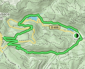 Lake Alfeld - Lake Sewen, Haut-Rhin, France - 9 Reviews, Map | AllTrails