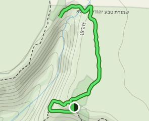 Gamla Waterfall and Dolmen Route, Golan Heights, Israel - 18 Reviews ...