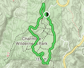 Ocean Overlook Loop, California - 905 Reviews, Map | AllTrails