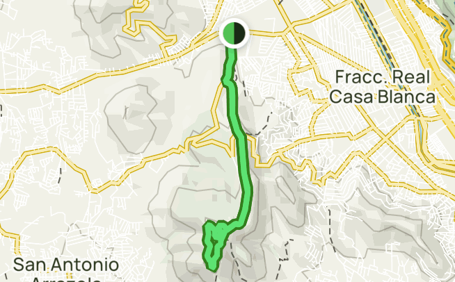 Monte Alban Map