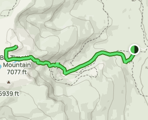 Big Timothy Mountain, British Columbia, Canada - 5 Reviews, Map | AllTrails