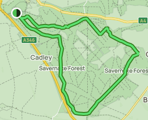 Savernake Forest Circular, Wiltshire, England - 82 Reviews, Map | AllTrails