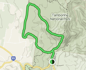 Tamborine Park Loop, Queensland, Australia - 87 Reviews, Map | AllTrails