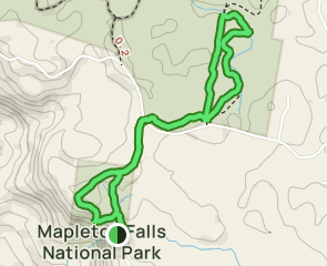 Mapleton Falls and Delicia Road Conservation Park, Queensland ...