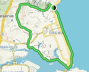 Orewa Loop Walk, Auckland, New Zealand - 31 Reviews, Map | AllTrails
