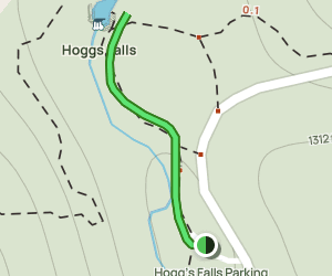 Hogg's Falls: 178 Reviews, Map - Ontario, Canada | AllTrails