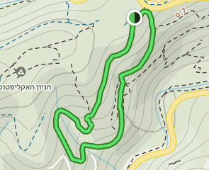 Sataf Village Trail, Jerusalem, Israel - 26 Reviews, Map | AllTrails