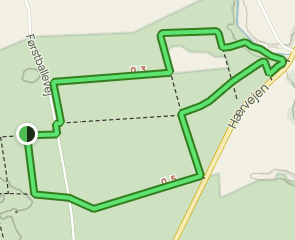 Gødding Skov - Rød Rute: 44 Reviews, Map - Region of Southern Denmark ...