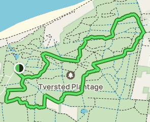 Tversted MTB Route, North Denmark, Denmark - 8 Reviews, Map | AllTrails