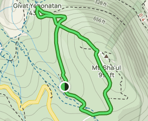 Gilboa Forest, Givat Yehonatan and Mount Shaul Loop: 17 Reviews, Map ...