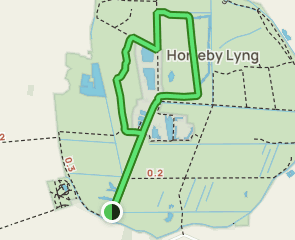 Horreby Lyng - Blå Rute: 28 Fotos - Seeland, Dänemark | AllTrails