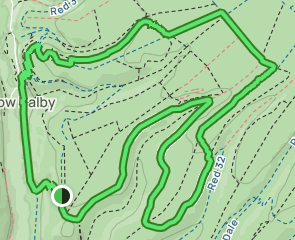 Dalby Forest Blue Route Circular, North Yorkshire, England - 45 Reviews ...