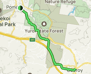 Cooroy Wanderer Track, Queensland, Australia - 16 Reviews, Map | AllTrails