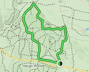 Haugh Woods and Joans Hill Farm Reserve, Herefordshire, England - 36 ...