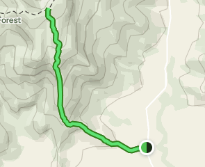 Mount Tamahunga Walkway: 34 fotos - Auckland, Nova Zelândia | AllTrails