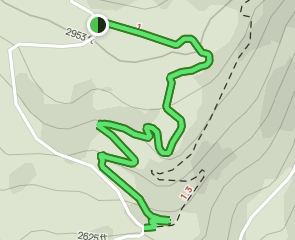 Mount Harry Davis Padawan Trail, British Columbia, Canada - 3 Reviews ...