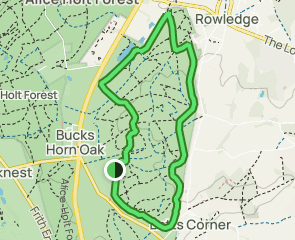 Alice Holt Forest Circular: 31 Fotos - Surrey, England | AllTrails