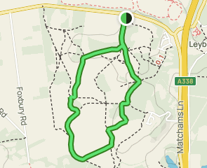 Avon Heath Country Park: 8 foto - Hampshire, Inghilterra | AllTrails