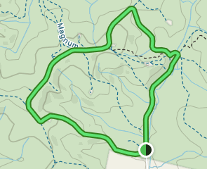 Barlow and Deacon Roads Loop, Auckland, New Zealand - 146 Reviews, Map ...