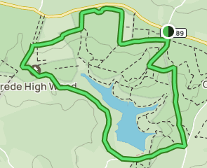 Brede High Woods, East Sussex, England - 117 Reviews, Map | AllTrails