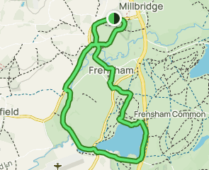 Frensham and the Great Pond, Surrey, England - 24 Reviews, Map | AllTrails