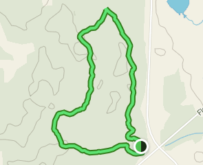 Beachburg Short Loop, Ontario, Canada - 25 Reviews, Map | AllTrails