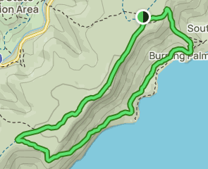 Palm Jungle Loop Track [CLOSED], New South Wales, Australia - 216 ...