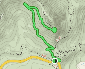 Mount Cordeaux Track, Queensland, Australia - 466 Reviews, Map | AllTrails