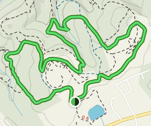 Little Mulberry Trail: 523 Reviews, Map - Georgia | AllTrails