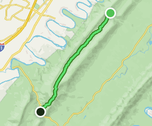 Peter's Mill Run OHV Trail: 291 Reviews, Map - Virginia | AllTrails