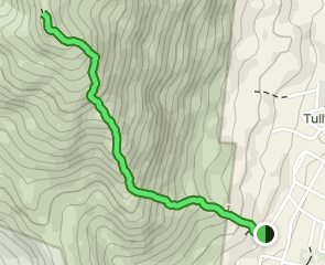 Mount Tyson Track, Queensland, Australia - 53 Reviews, Map | AllTrails