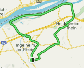 Von Ingelheim zum Heidesheim und den Inselrhein, Rhineland-Palatine ...