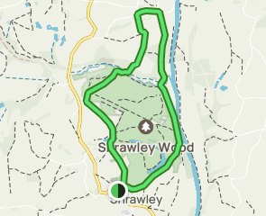 Shrawley Wood and Lower Astley Wood Circular, Worcestershire, England ...