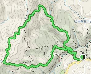 Otari Skyline Loop, Wellington, New Zealand - 44 Reviews, Map | AllTrails