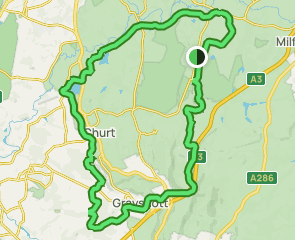 Waggoners Wells and Devils Punch Bowl Circular, Surrey, England - 23 ...