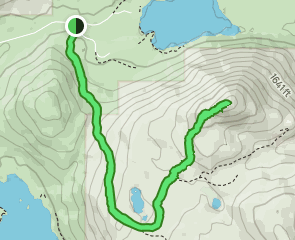 Sasquatch Lookout Trail: 8 Reviews, Map - British Columbia, Canada ...
